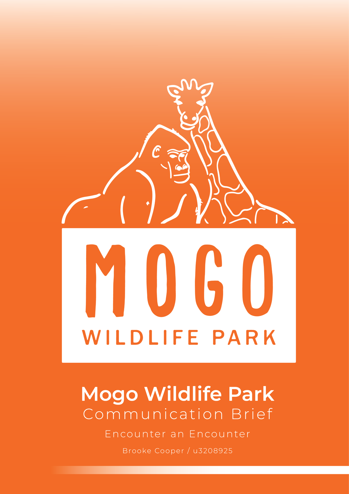 Mogo Zoo Campaign Brief - 7737 - Studocu