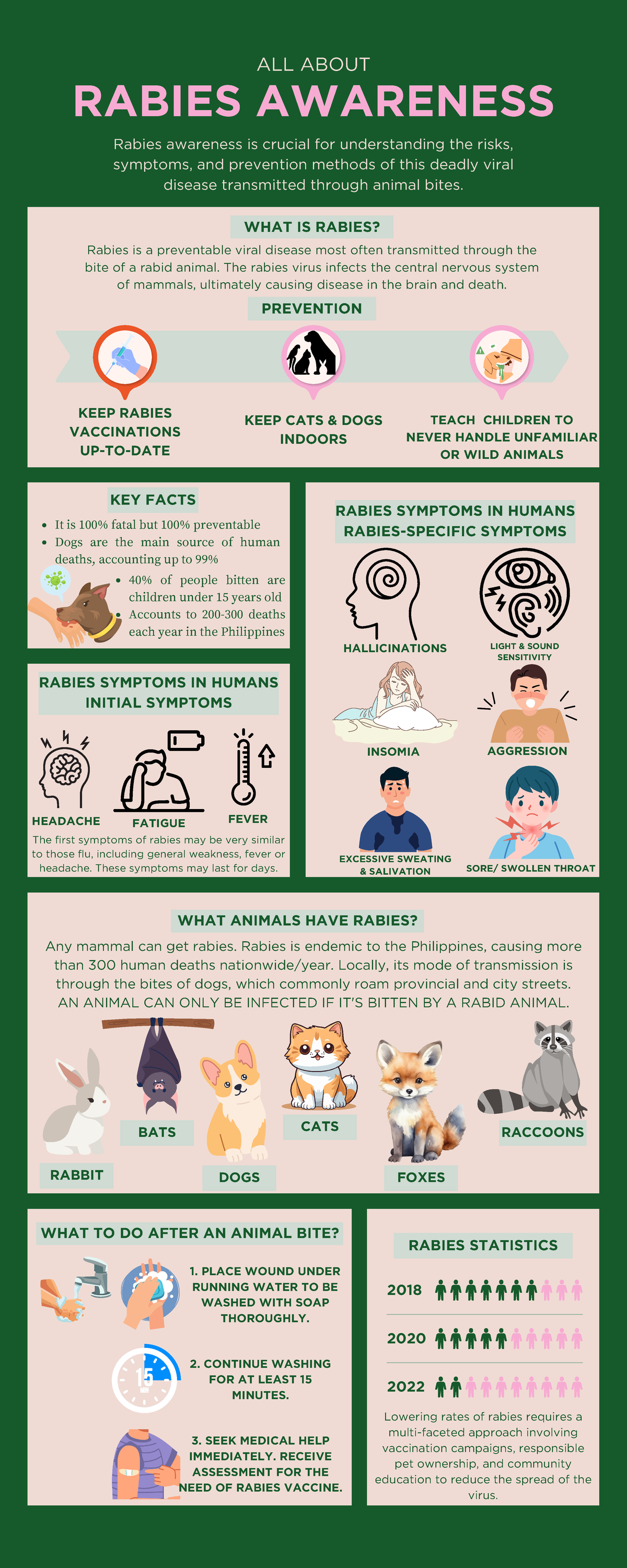 S3 - CDSVG - WHAT IS RABIES? KEY FACTS WHAT ANIMALS HAVE RABIES? RABIES ...
