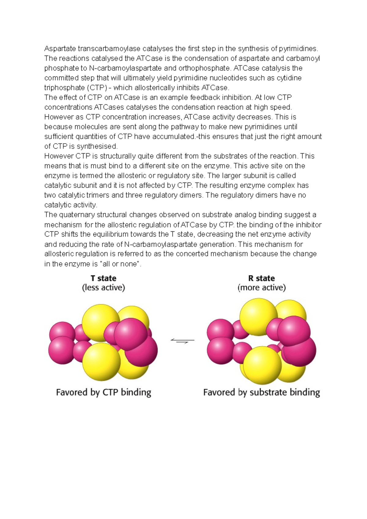Asparate Transcarbamoylase - The reactions catalysed the ATCase is the ...