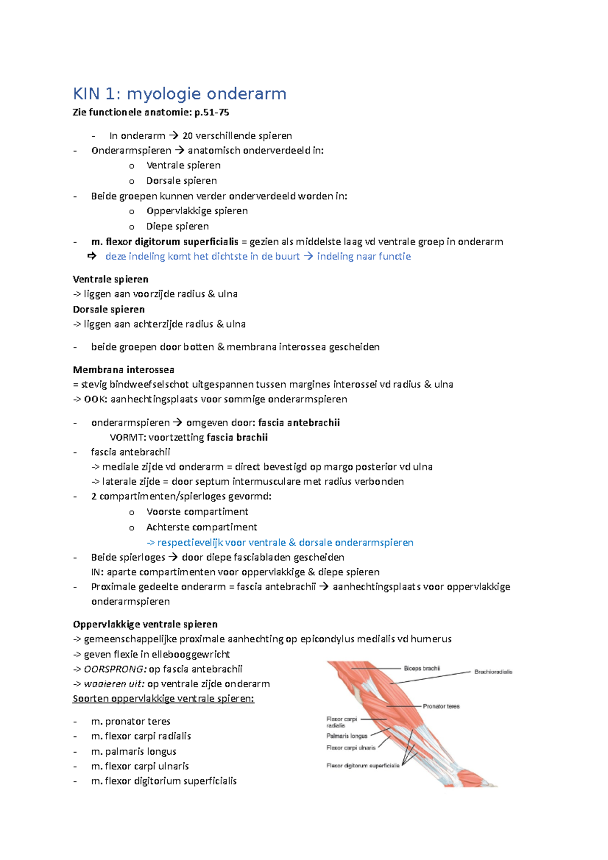 KIN 1 myologie elleboog - KIN 1: myologie onderarm Zie functionele ...