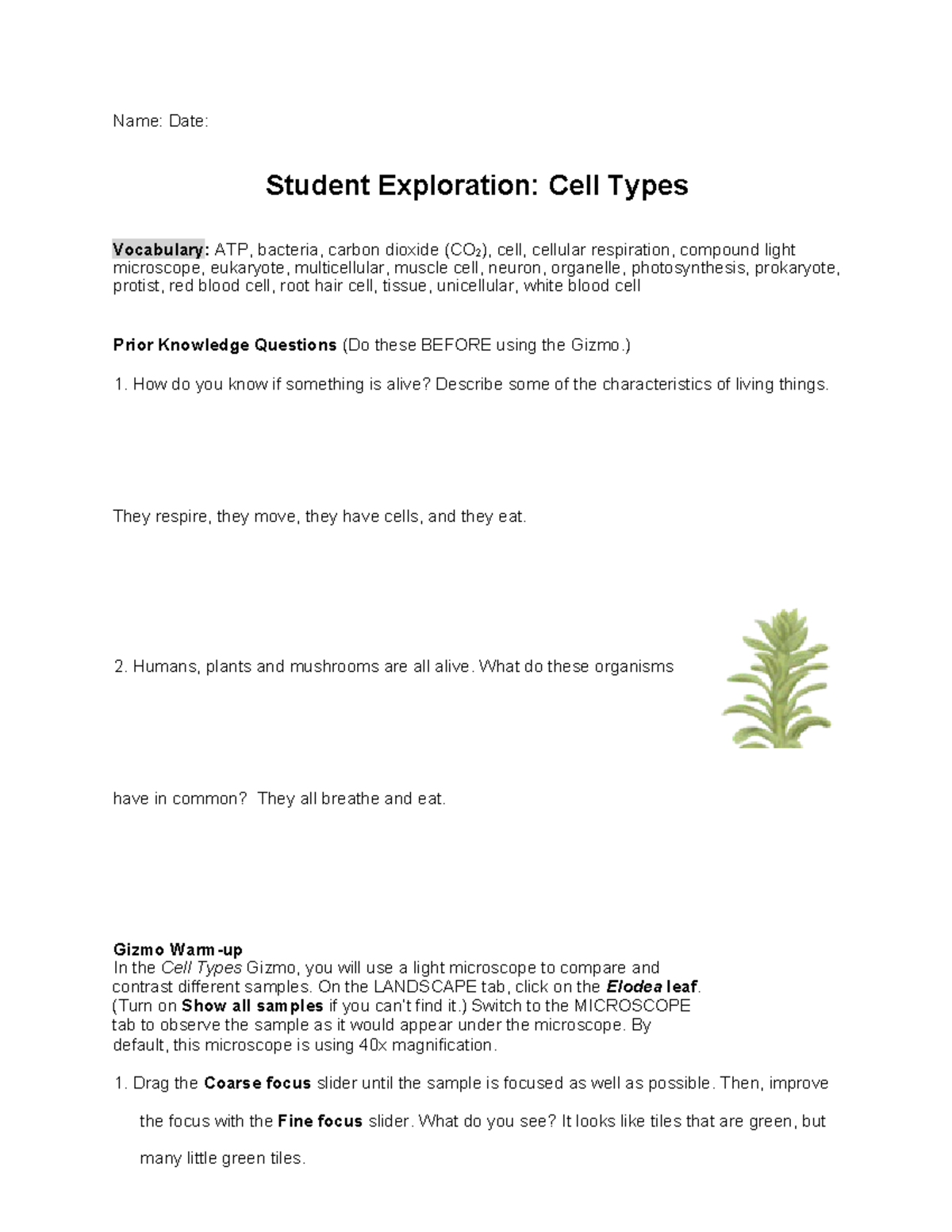CSLab 4.4 Cell types Gizmo - Name: Date: Student Exploration: Cell ...