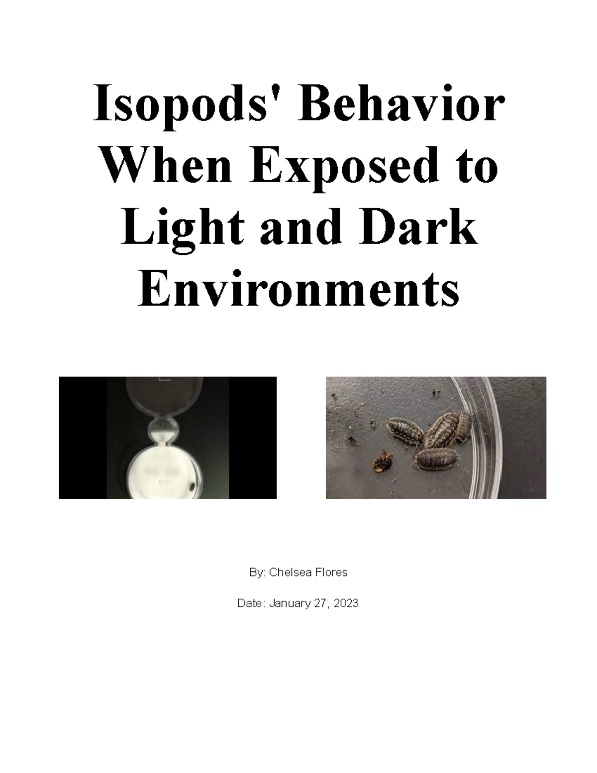 Lab Report Isopods' Behavior When Exposed to Light and Dark ...