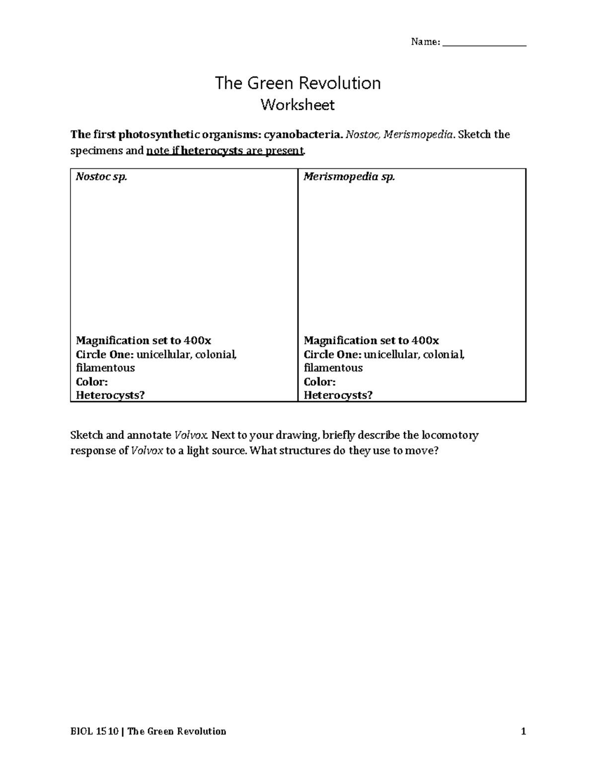 Green Revolution Worksheet - Name: _____________________ The Green ...