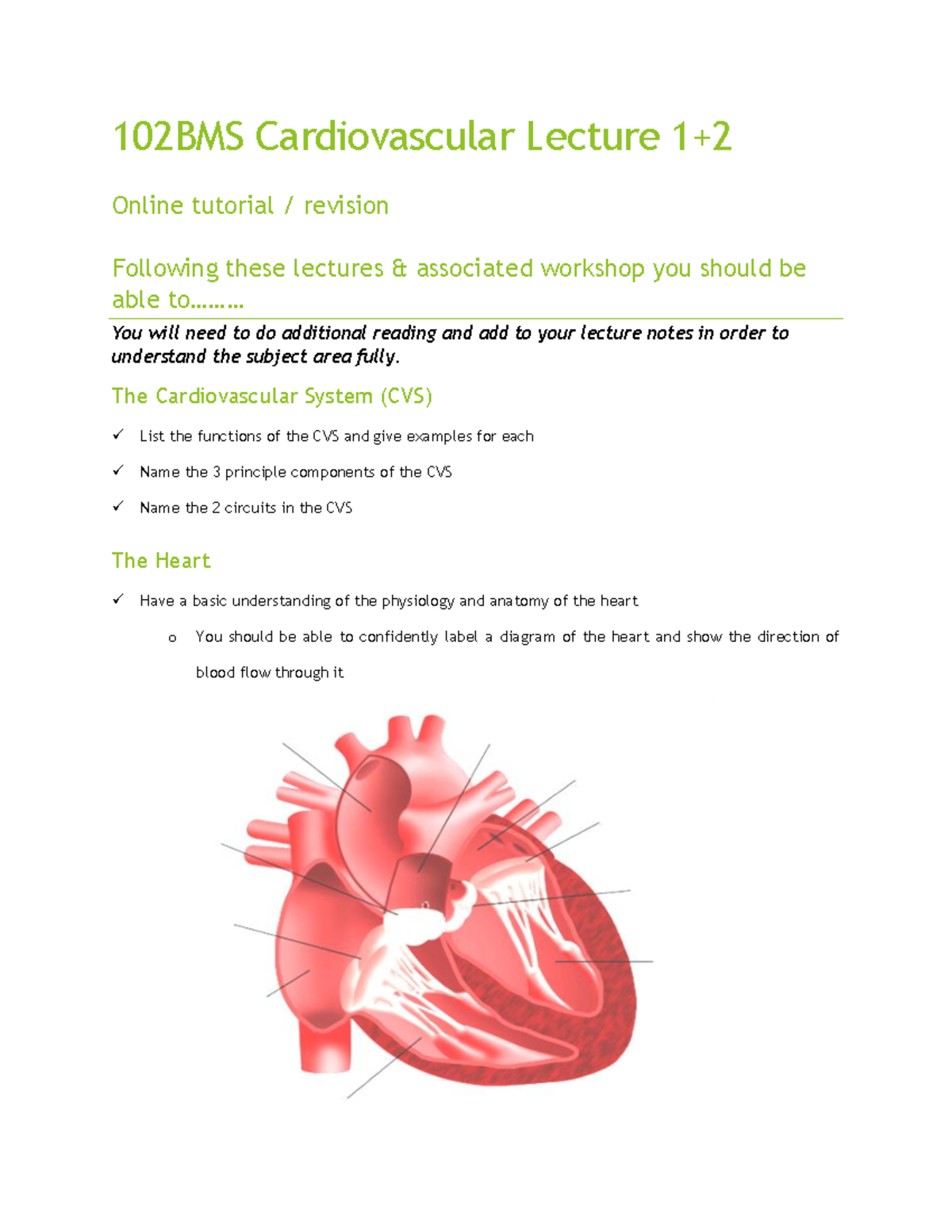 102BMS Cardiovascular system lec 1+2 online tutorial-revision notes ...