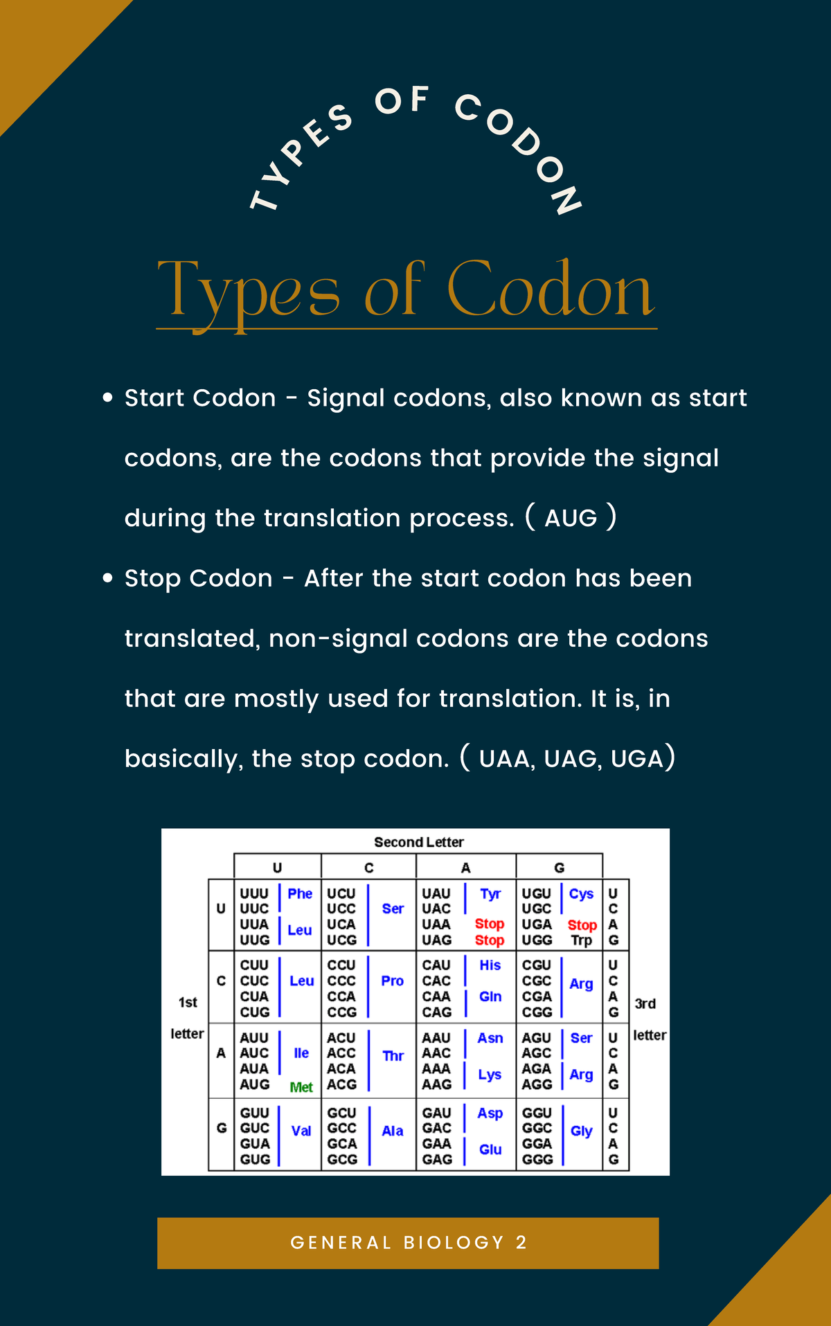 Types of codon - health assessment - G E N E R A L B I O L O G Y 2 ...
