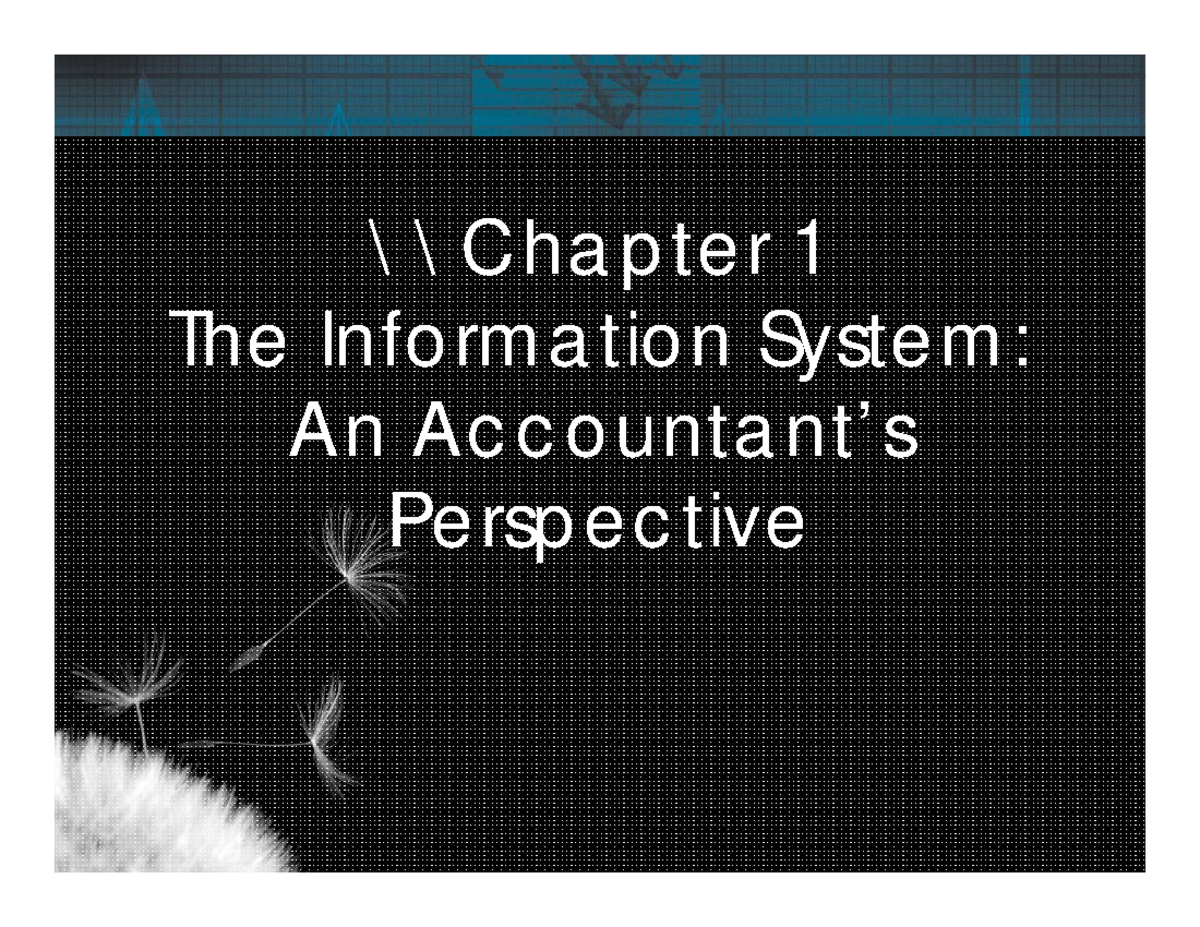 Chapter 1 The Information System An Accountant’s Perspective - \C ha p ...