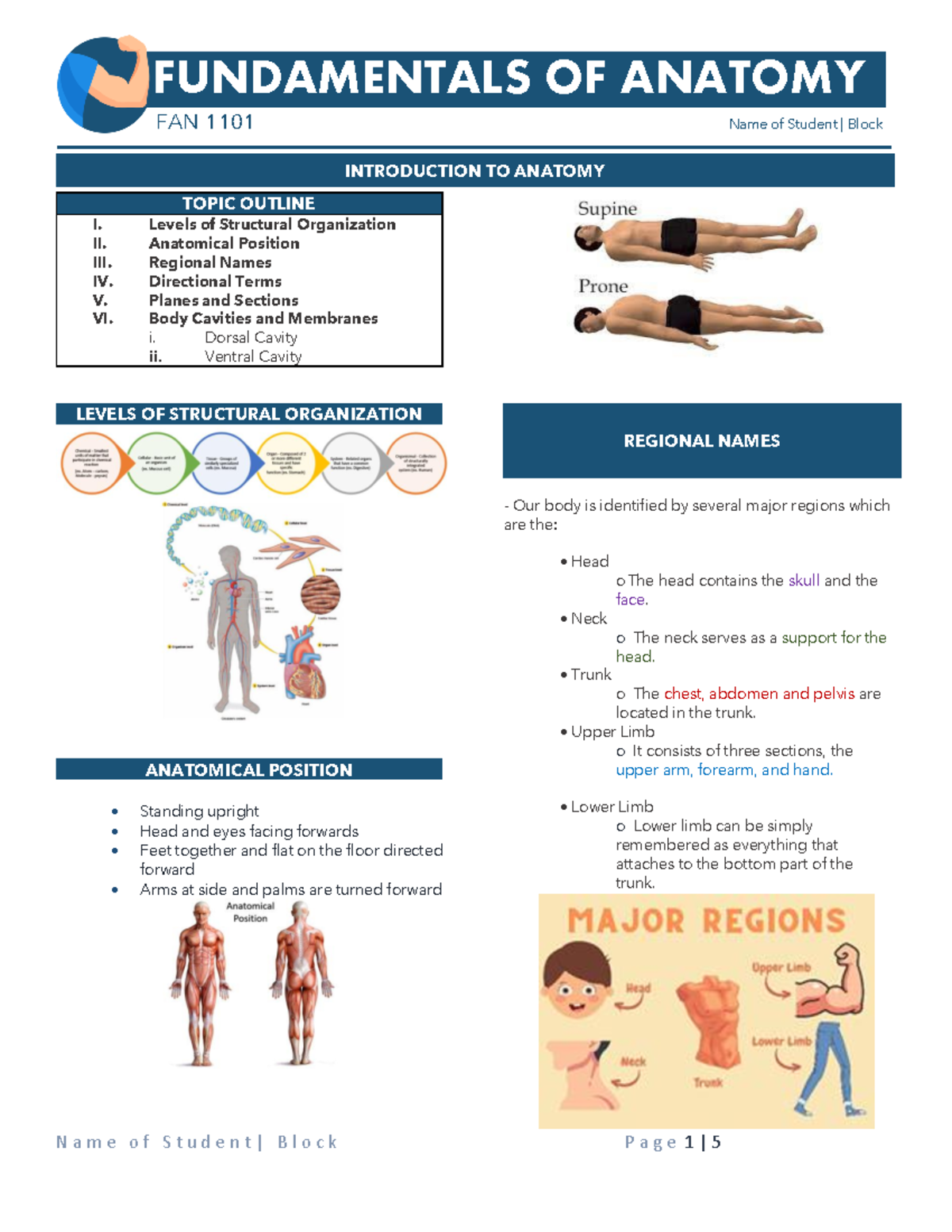 Introduction to Anatomy - FAN 1101 Name of Student | Block TOPIC ...