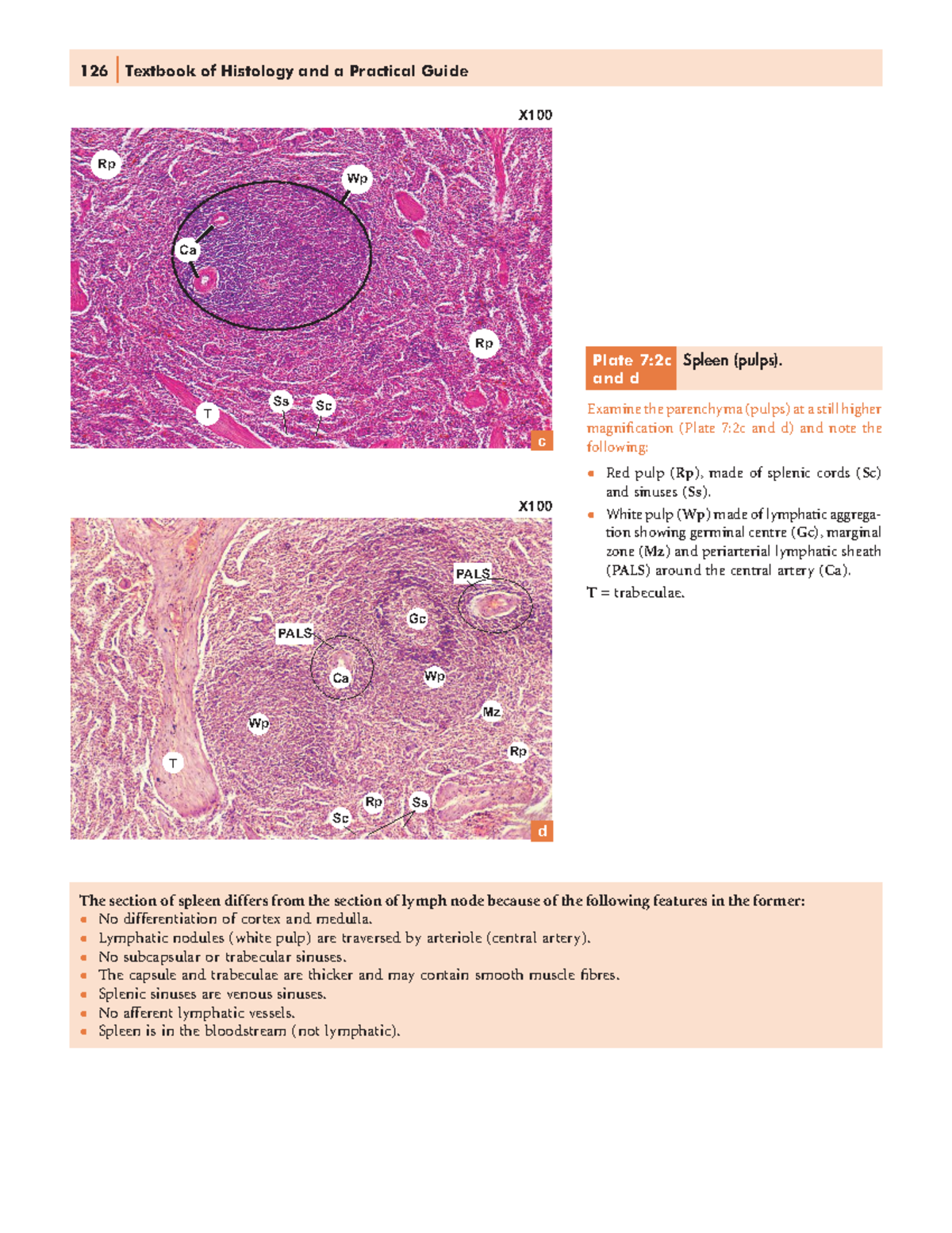 Bhai mere padhiyo Histo(J - 126 Textbook of Histology and a Practical Guide Plate 7:2c and d ...