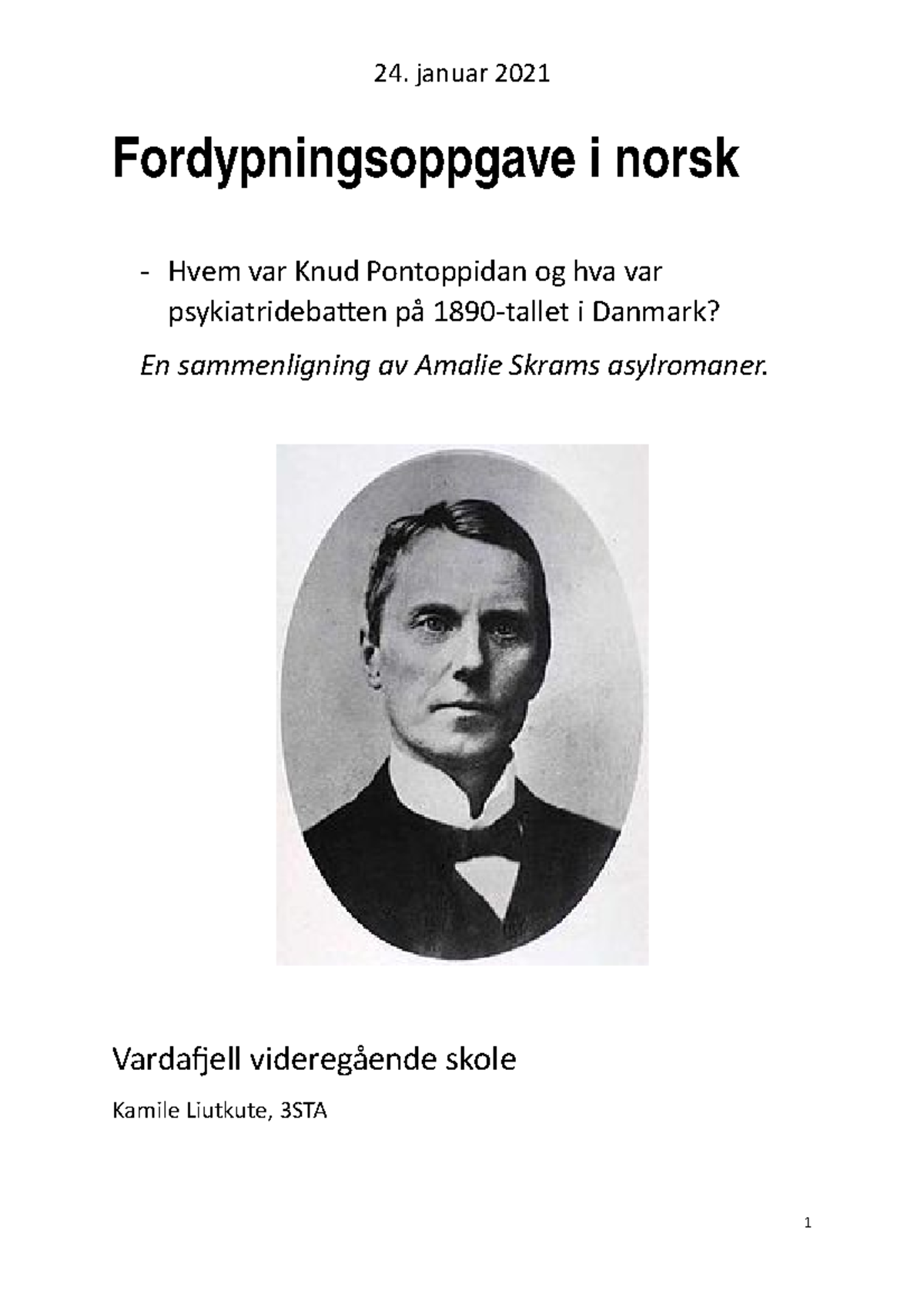 Fordypningsoppgaven - Knud Pontoppidan, psykiatridebatten, fordypningsoppgave i norsk ...