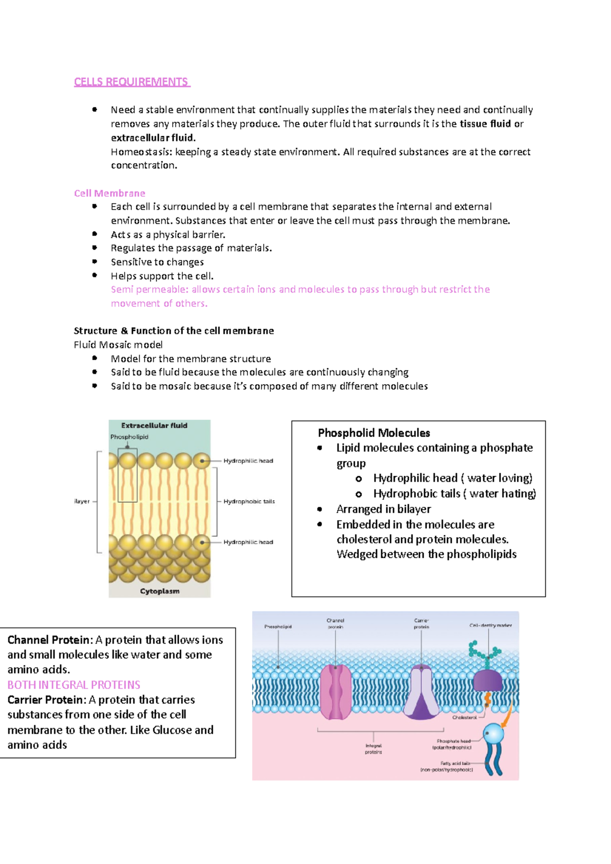Cell requirements - CELLS REQUIREMENTS Need a stable environment that ...