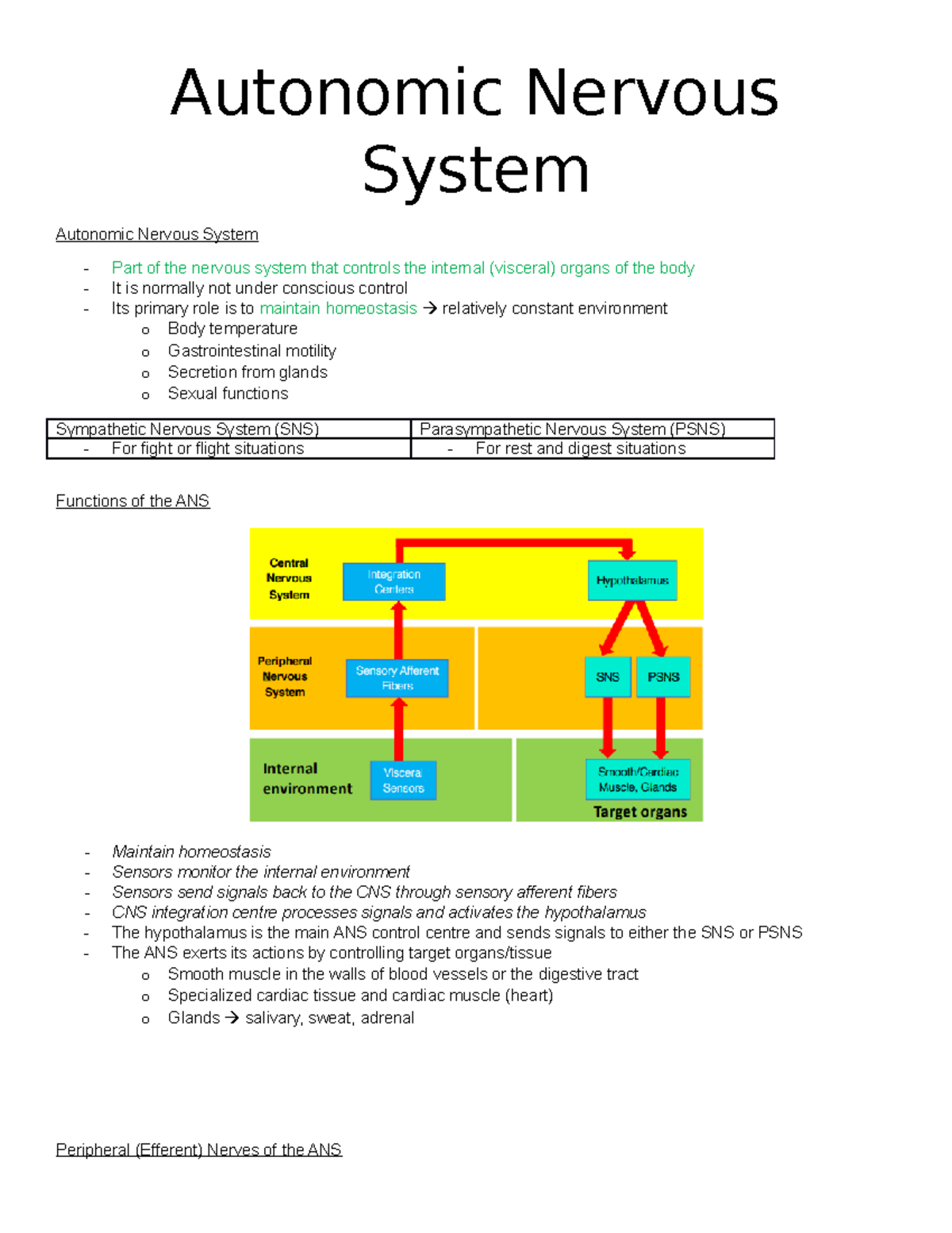 4 - Autonomic Nervous System - Autonomic Nervous System Autonomic ...