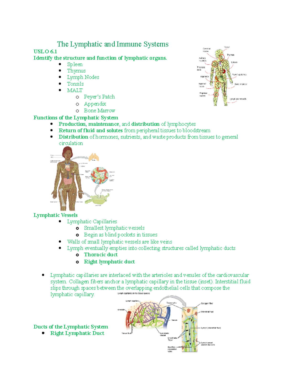Unit 6 The Lymphatic and Immune Systems - The Lymphatic and Immune ...
