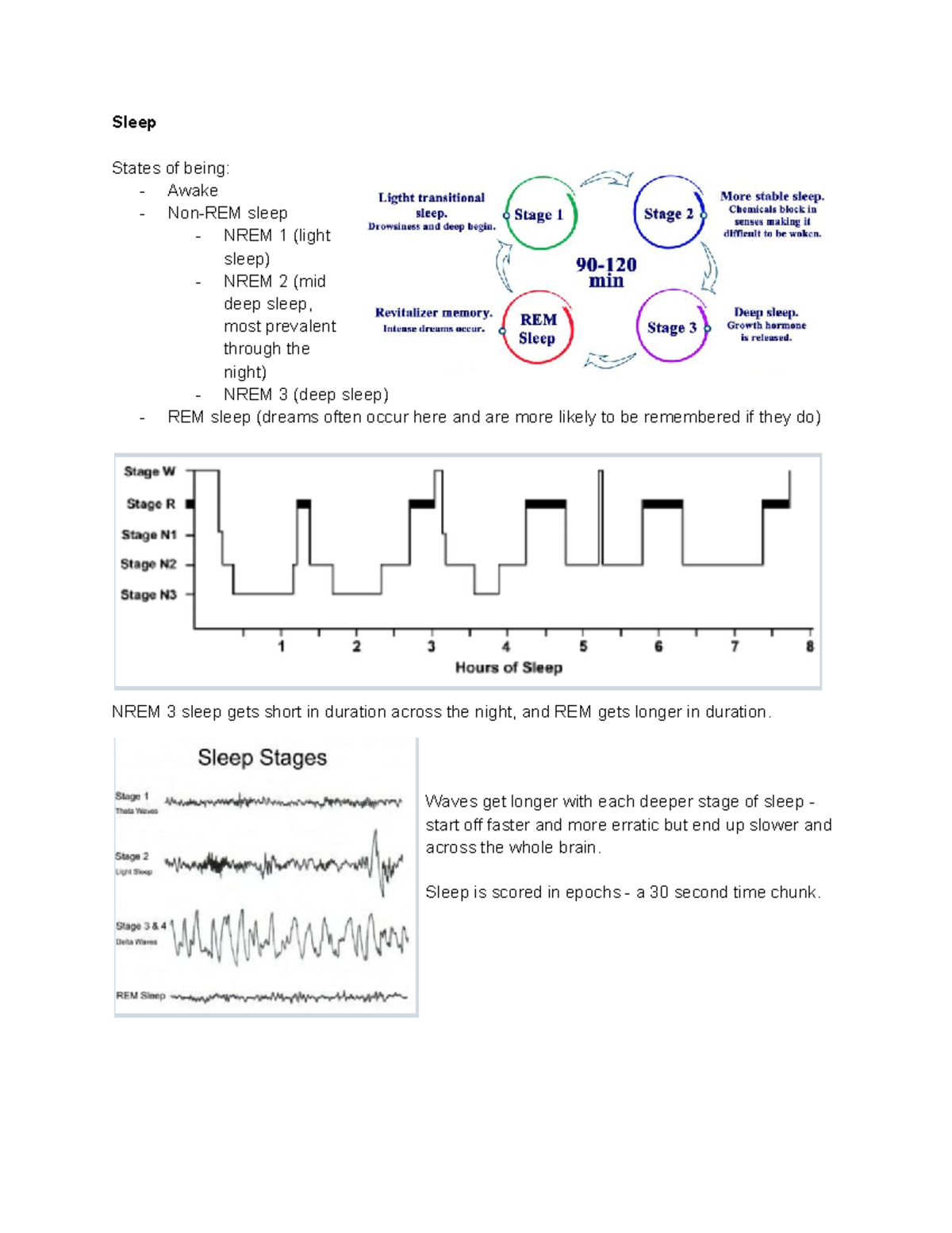 Sleep and Cognition - Sleep States of being: - Awake - Non-REM sleep ...