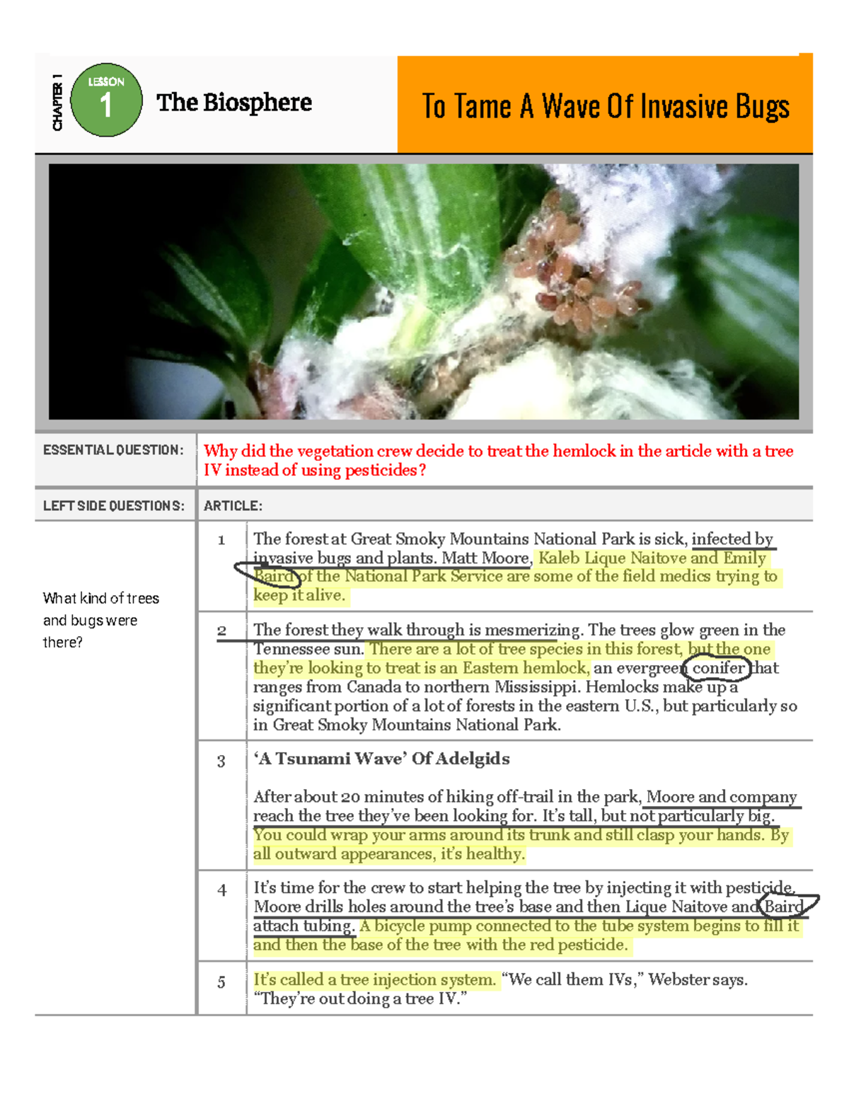 Mia Bucio (Student) - Annotation To Tame A Wave Of Invasive Bugs ...