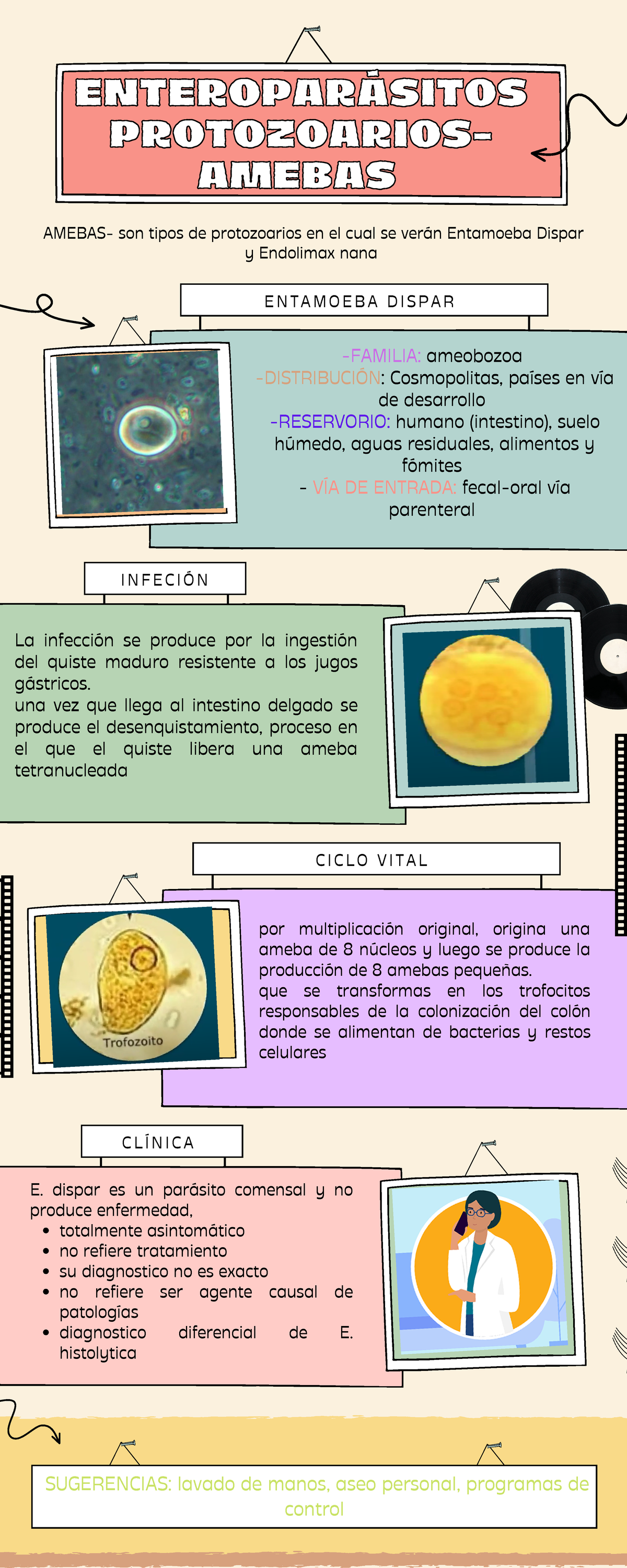Enteroparásitos protozoarios- E. dispar - E N T A M O E B A D I S P A R ...