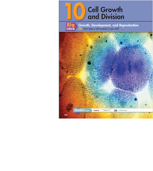 Chapter 7 - Cell Structure and Function Textbook - UNIT Chapters 7 Cell ...
