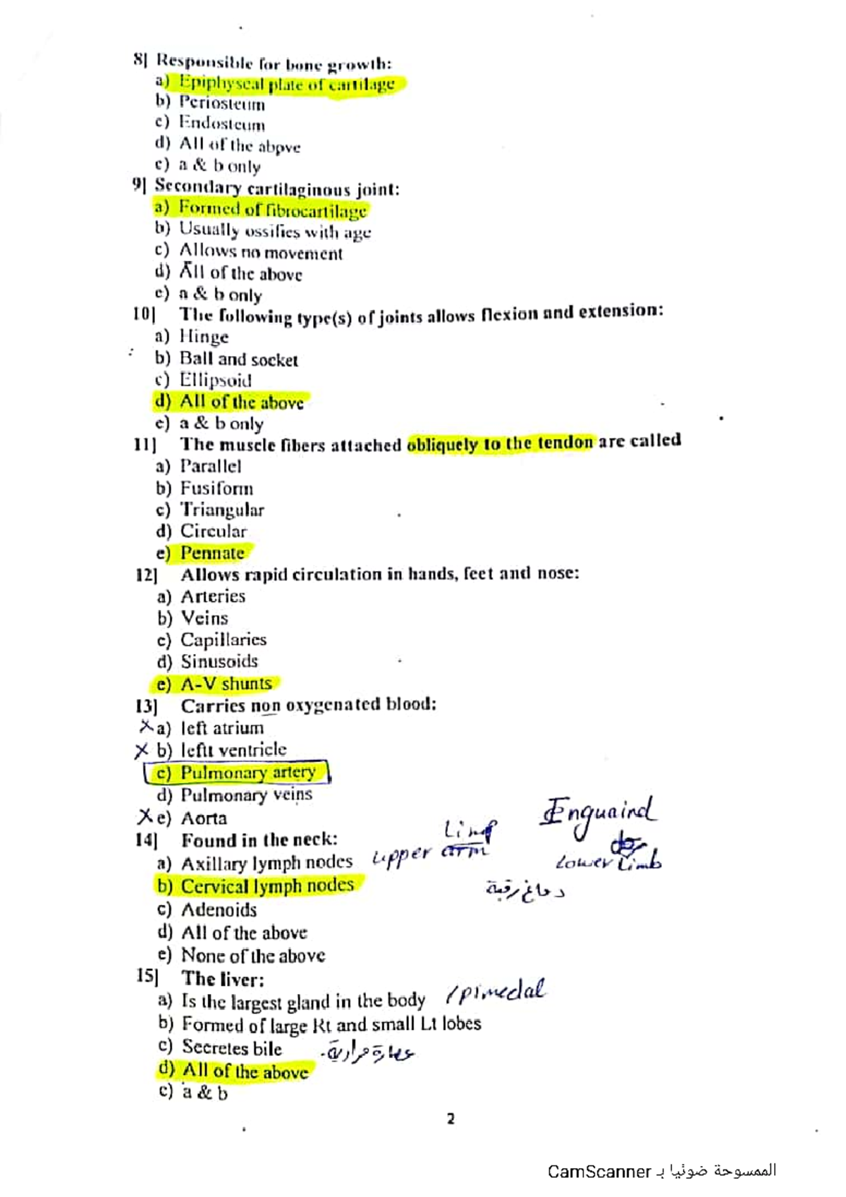 Anatomy questions - Studocu