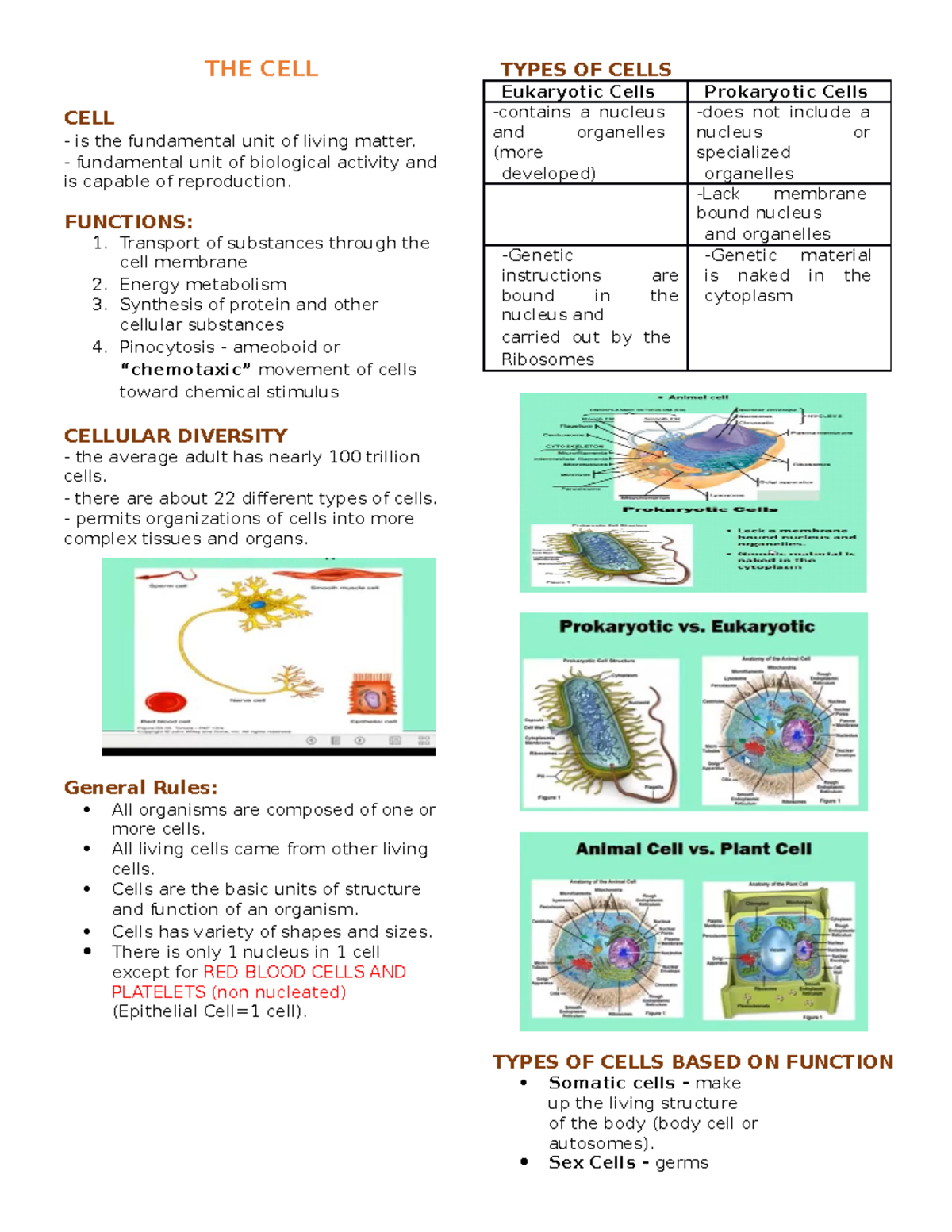 Lesson 2 THE CELL Reviewer - THE CELL CELL is the fundamental unit of ...