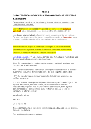 GUIA TEMA 6 - Morfo 2 - Victoria Sanchez - TEMA 6 MUSCULATURA DEL ...