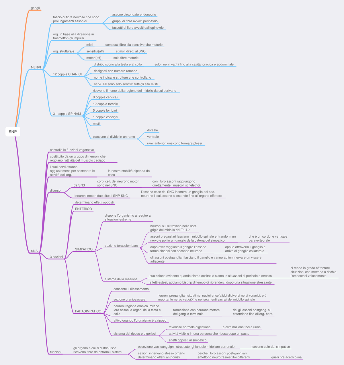 SNP - mappa sistema nervoso periferico - SNP gangli NERVI fascio di ...