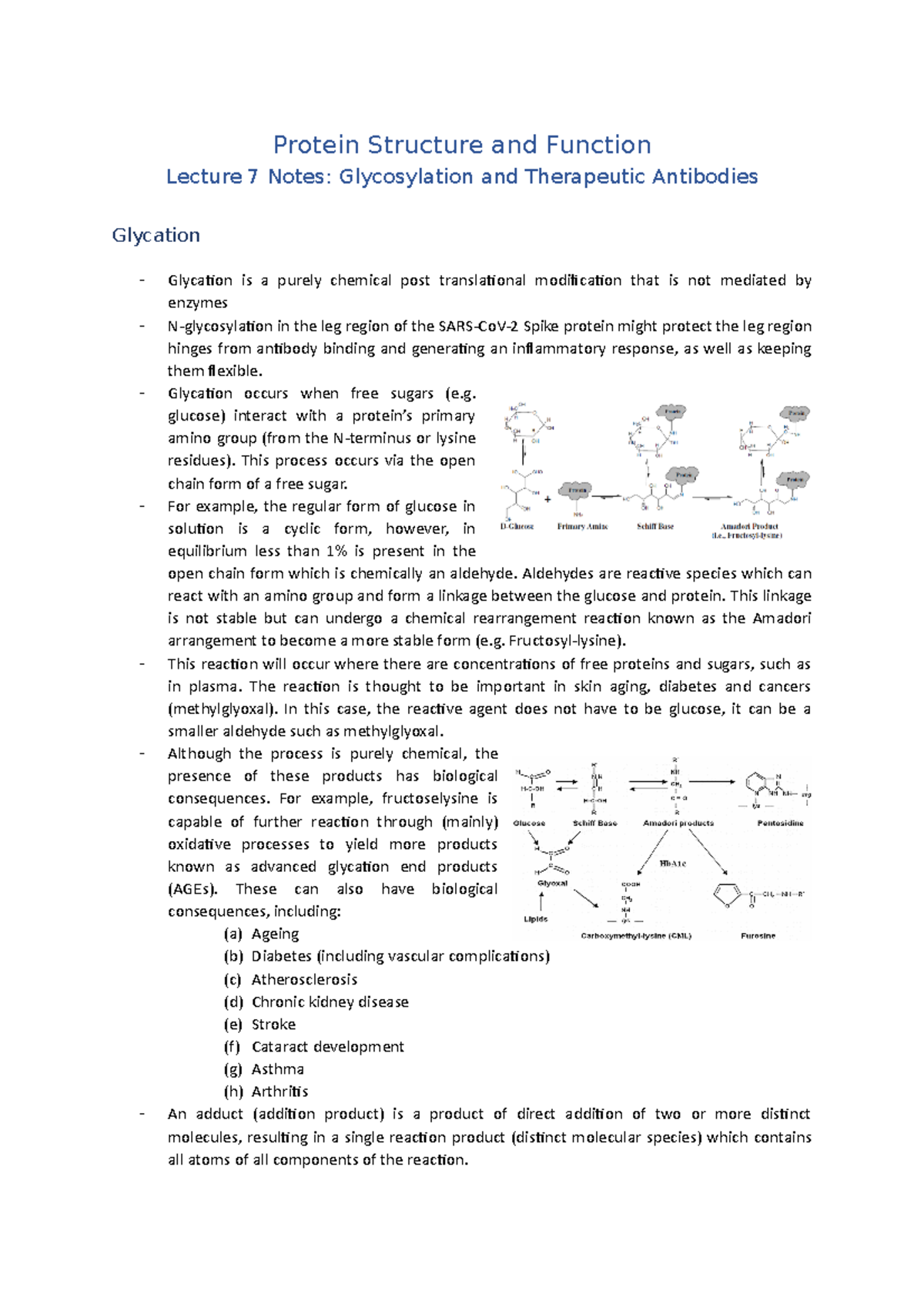 Lecture 7 Notes (Glycosylation) - Protein Structure and Function ...