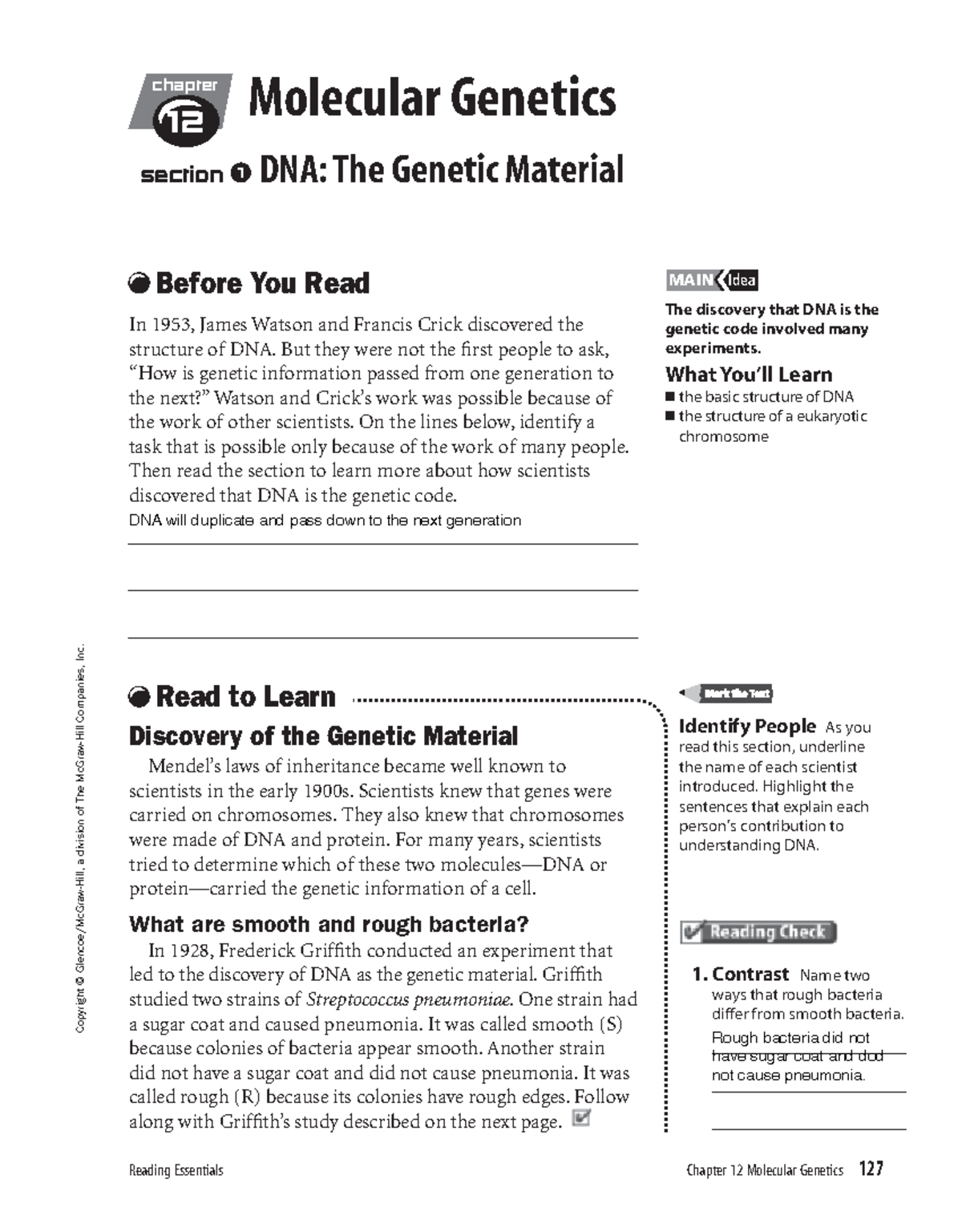 12.1 Reading - 吧znsnsnsns - Reading Essentials Chapter 12 Molecular ...