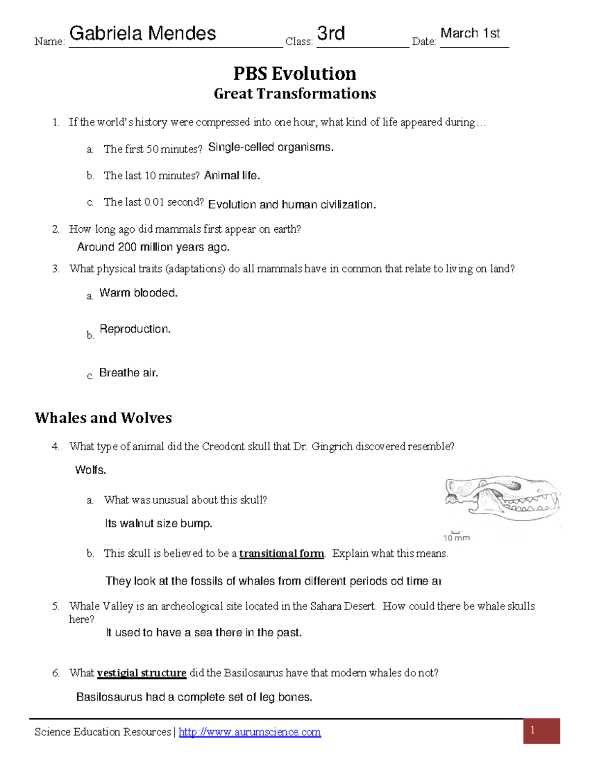 PBS Evolution Great Transformations - Name ...