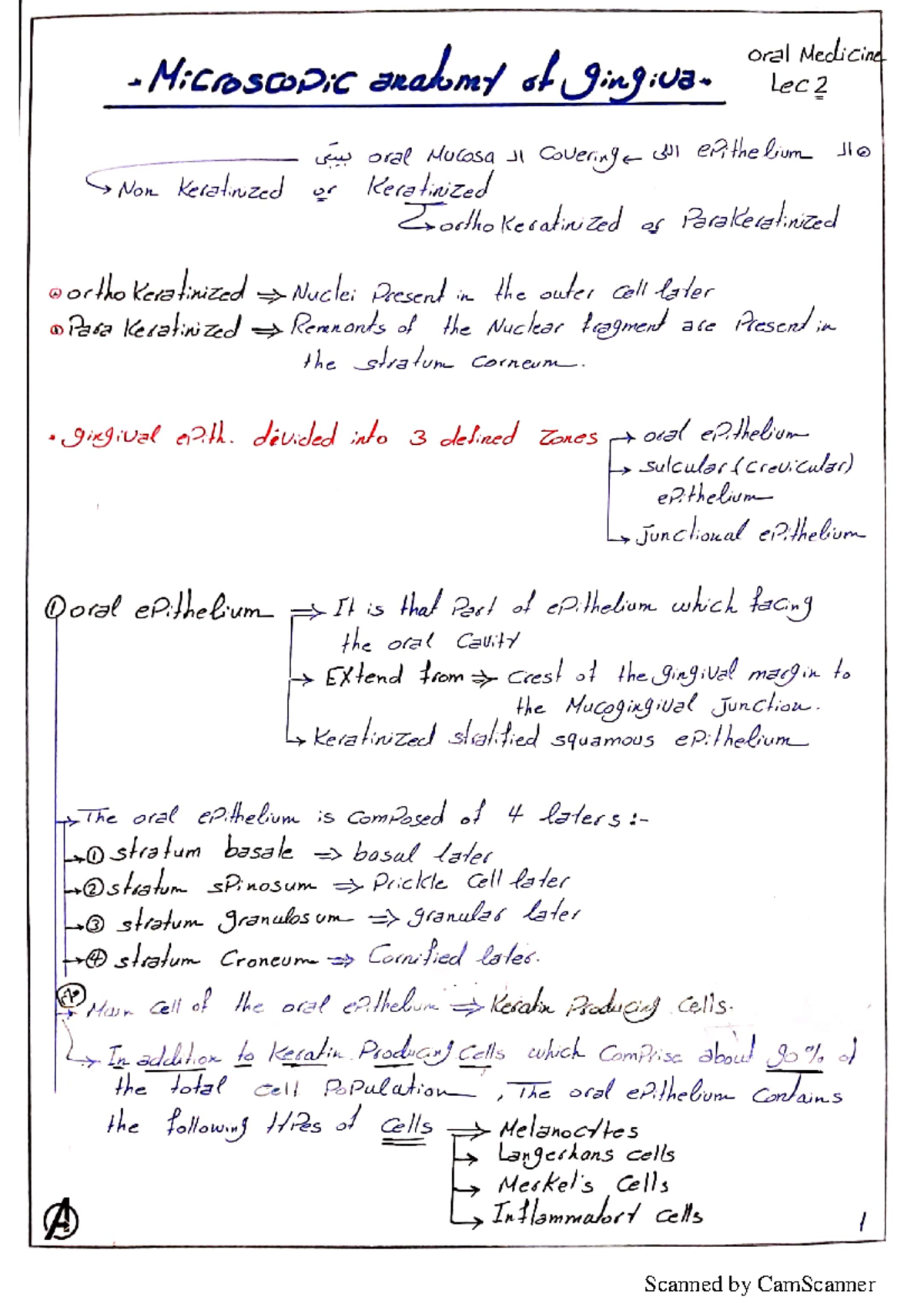 Oral Medicine LEC 2 MA - a lecture note - Herbal Medicine And ...