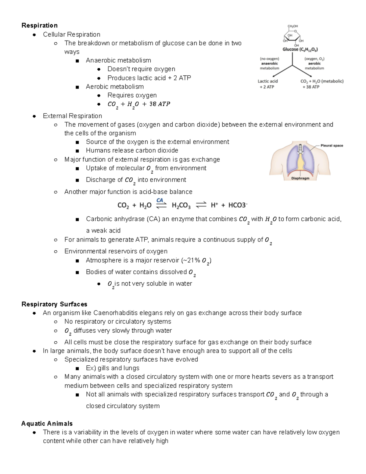 Lecture 15 (Module 8) (dragged) - BIO 203 - SBU - Studocu