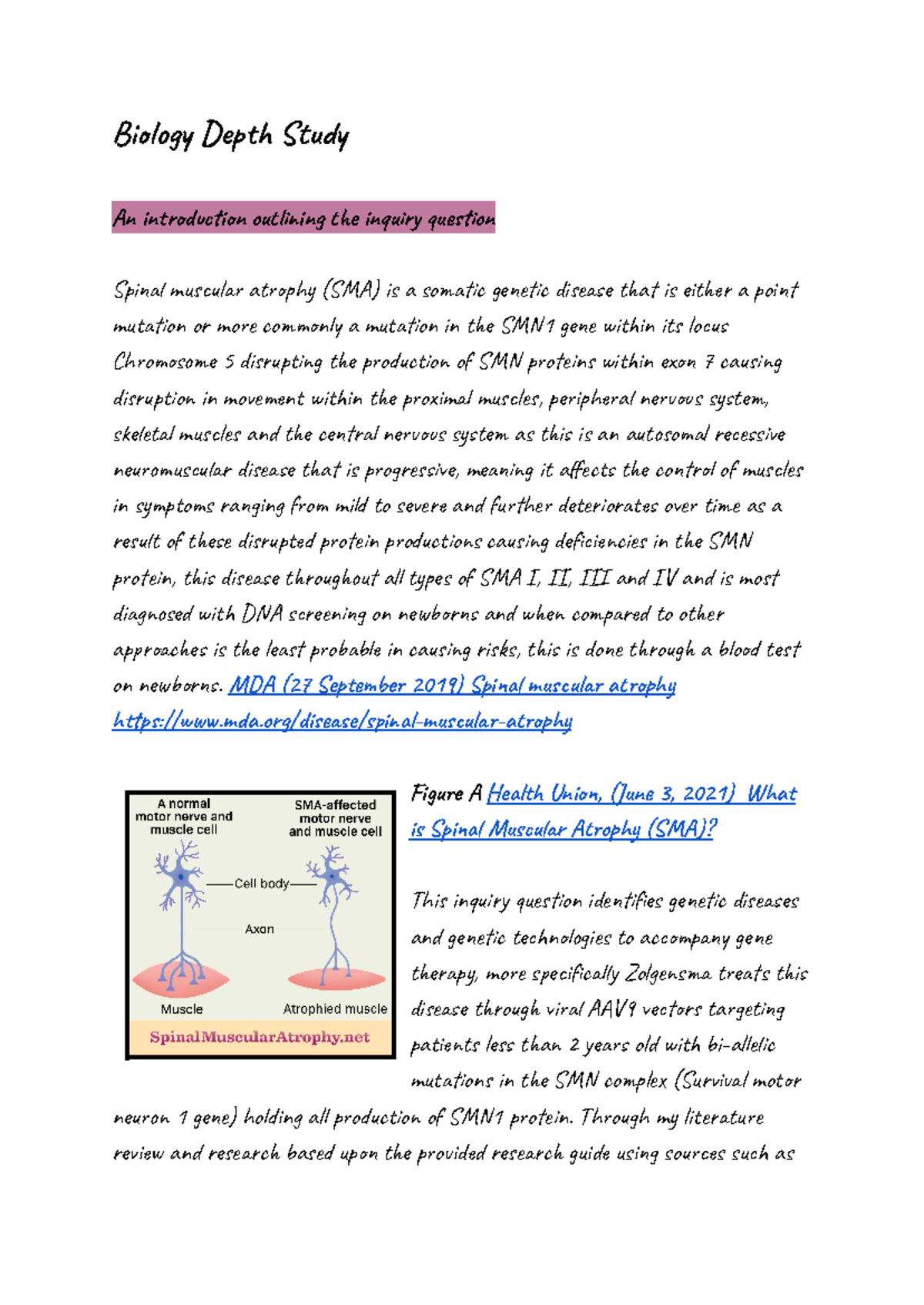 Biology Depth Study - Bil Dep Stu An indin otin te iny quon Spi mul ath ...