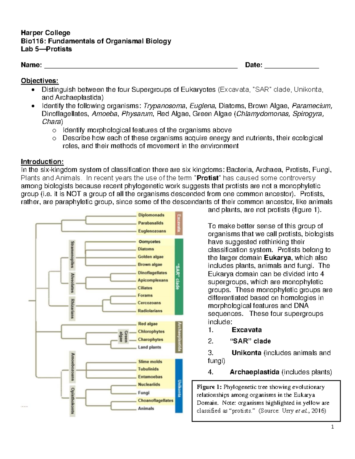 Lab 5 Protists on campus 2022 - Harper College Bio116: Fundamentals of ...