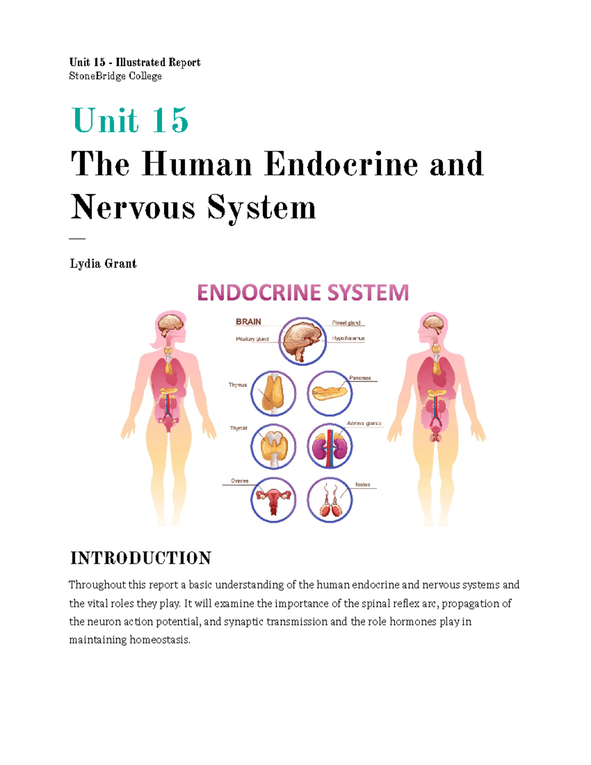 Unit 15 - The Human Endocrine and Nervous System (distinction0 - Unit ...