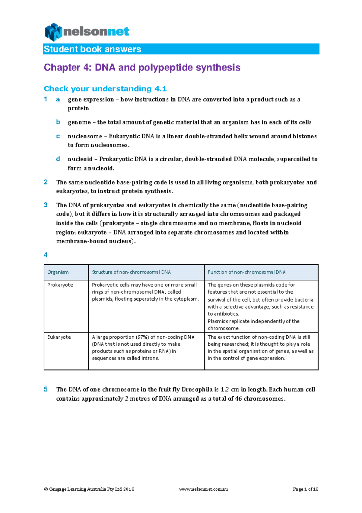 CH 4 answers (Mod 5 6) - Student book answers Chapter 4: DNA and ...
