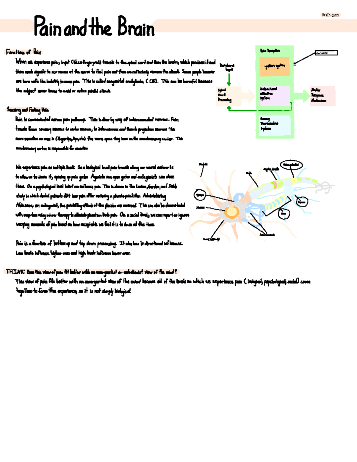 Pain and the Brain - Handwritten Notes - 10-07- P ainandthe Brain ...