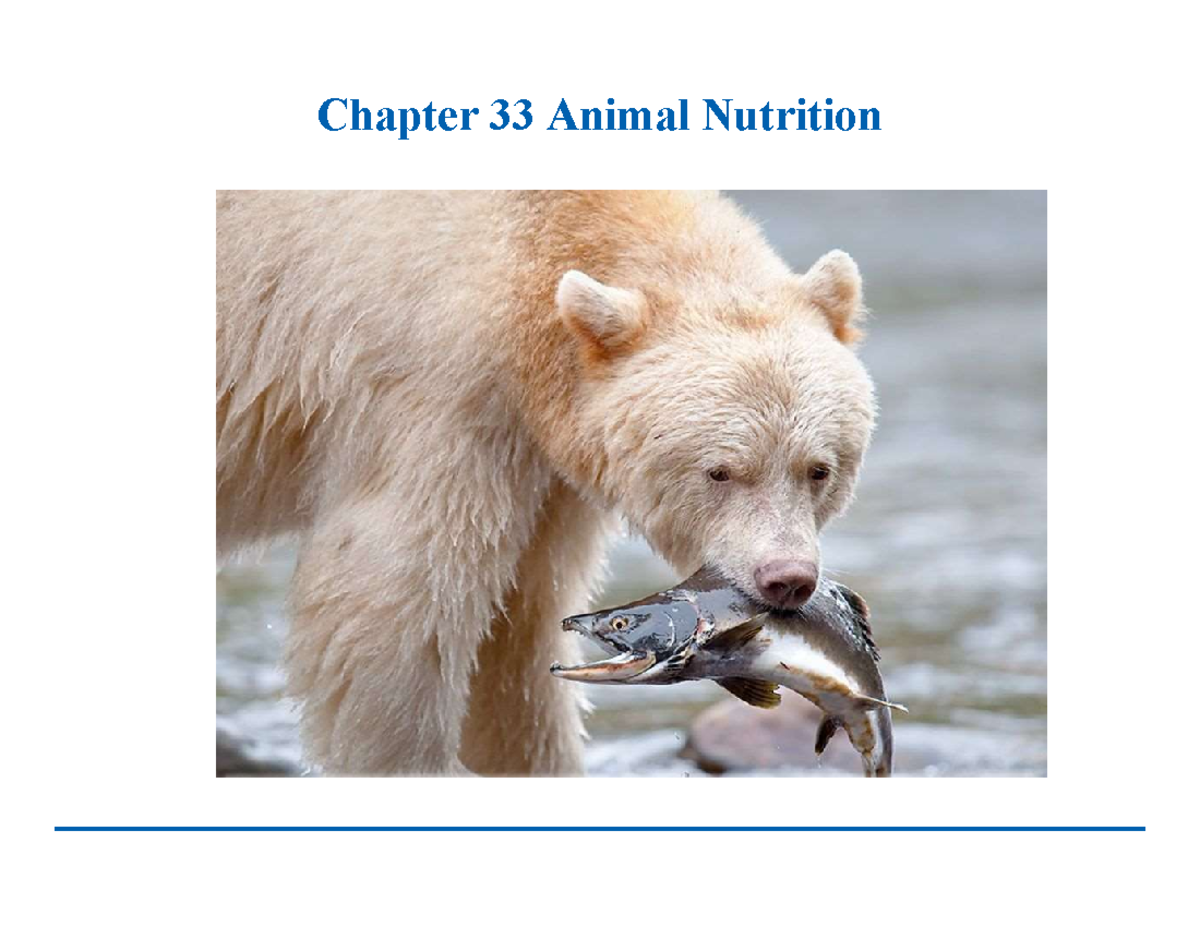 Ch 33 - Ch 33 - Chapter 33 Animal Nutrition Overview: The Need to Feed ...