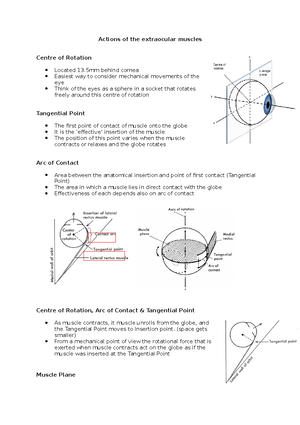 The near triad - Binocular Vision And Refraction - The near triad ...