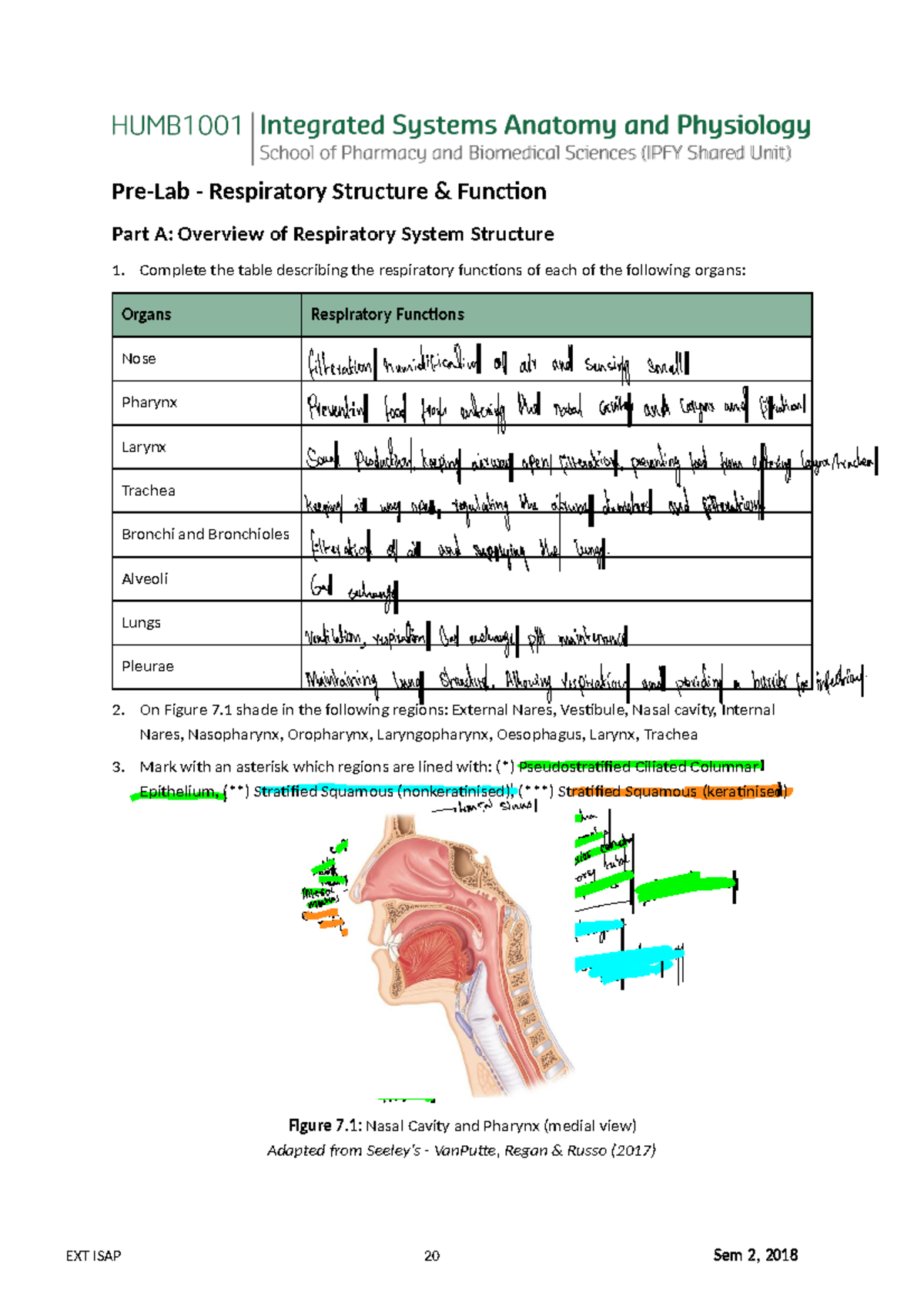 Mod 7 pre lab - Questions and answers to module 7 pre-lab - Pre-Lab ...