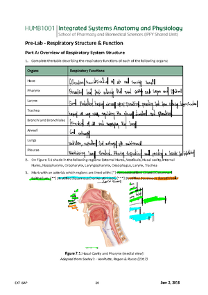ISAP Module 3 - How do we move - Text book readings: Chapter 9 focus ...
