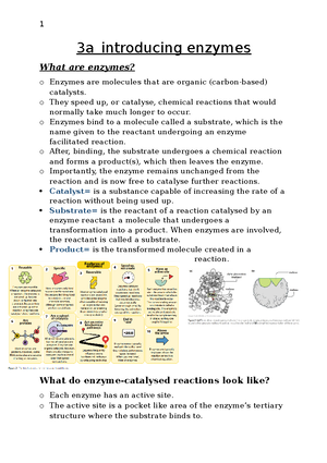 Qcaa biology unit 3 compiled notes 2021 - BIOLOGY UNIT 3 BIOLOGY AND ...