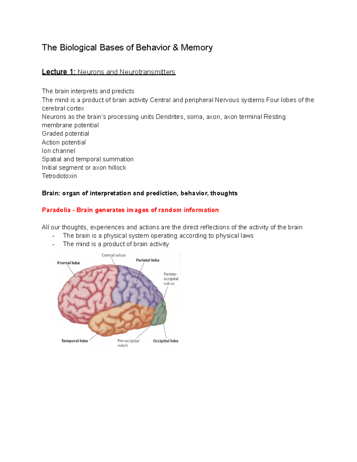 Lecture 1 Biological Bases And Memory The Biological Bases Of Behavior And Memory Lecture