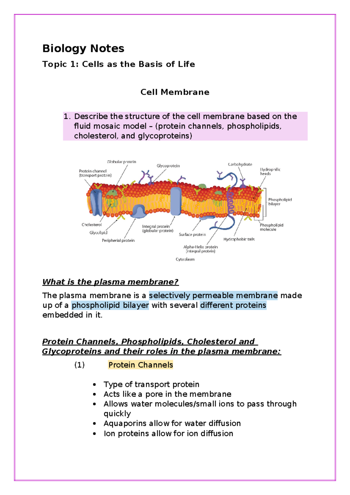 Biology Notes - Biology Notes Topic 1: Cells as the Basis of Life Cell ...
