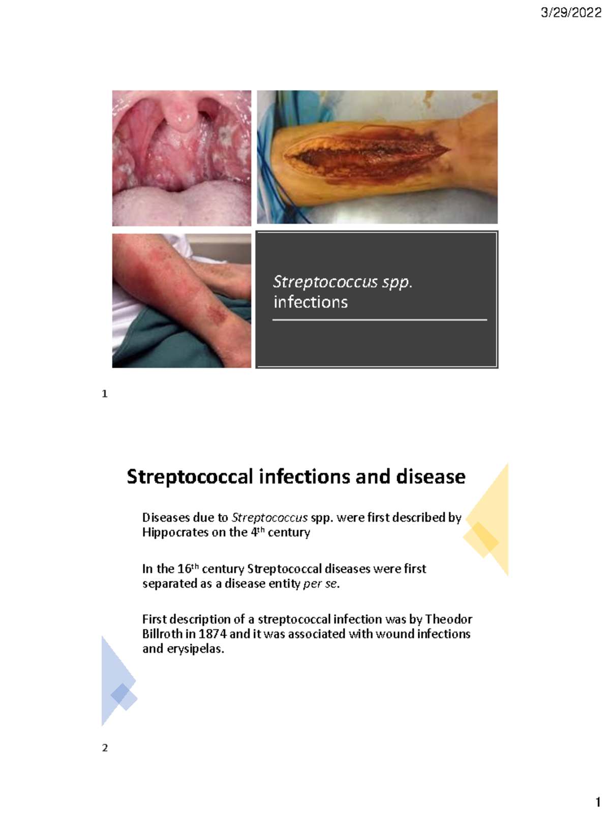 Streptococcus infections 2 slides - Streptococcus spp. infections ...