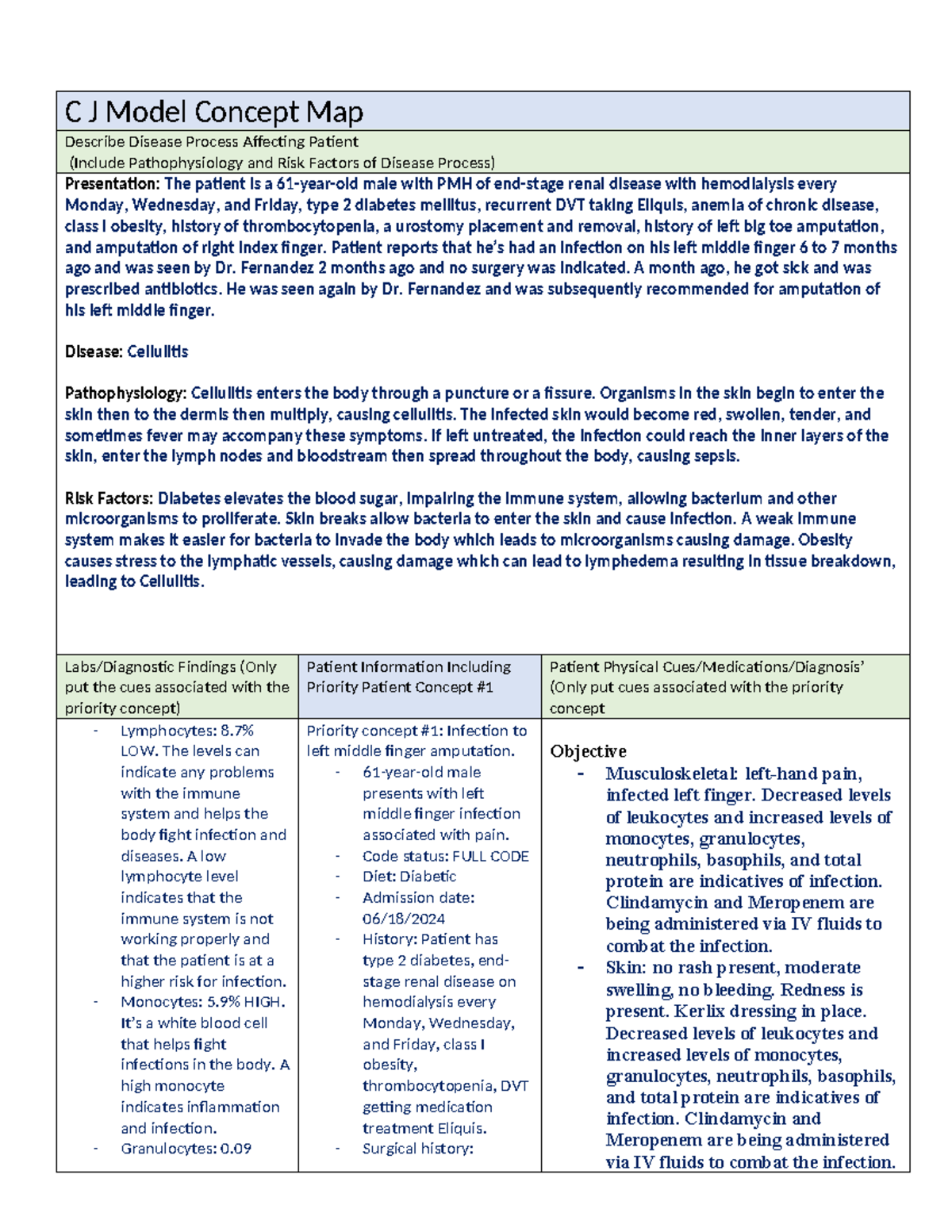 C J Model Concept Map Patient 2 - C J Model Concept Map Describe ...