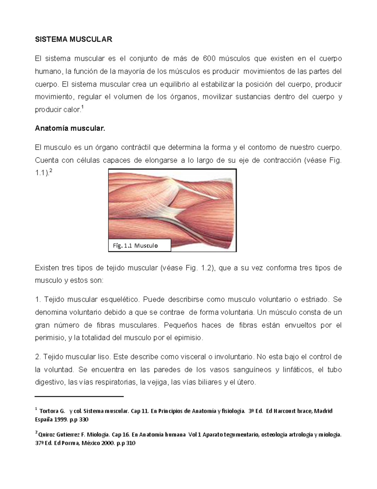 Sistema-Muscular - Apuntes de anatomía de tren inferior y superior para ...