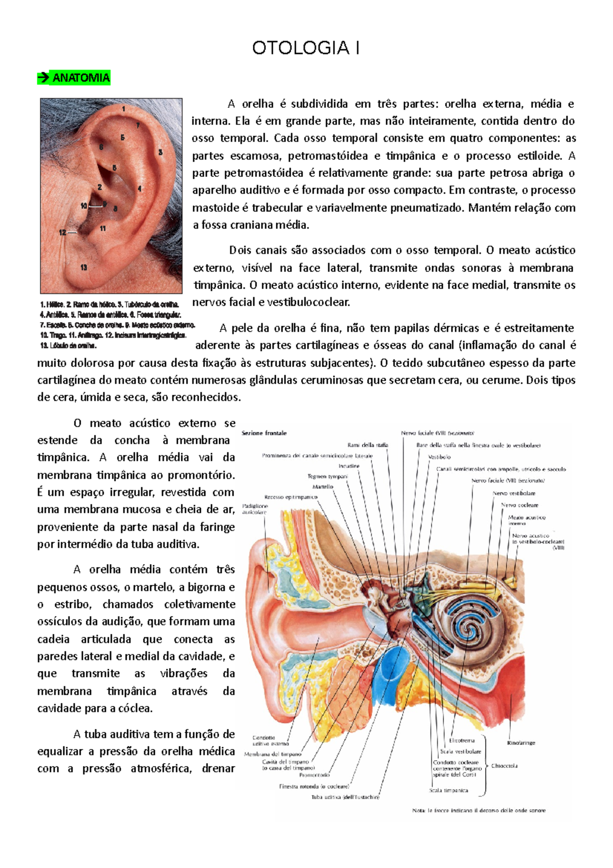 Resumo Otologia I - OTOLOGIA I ANATOMIA A orelha é subdividida em três ...