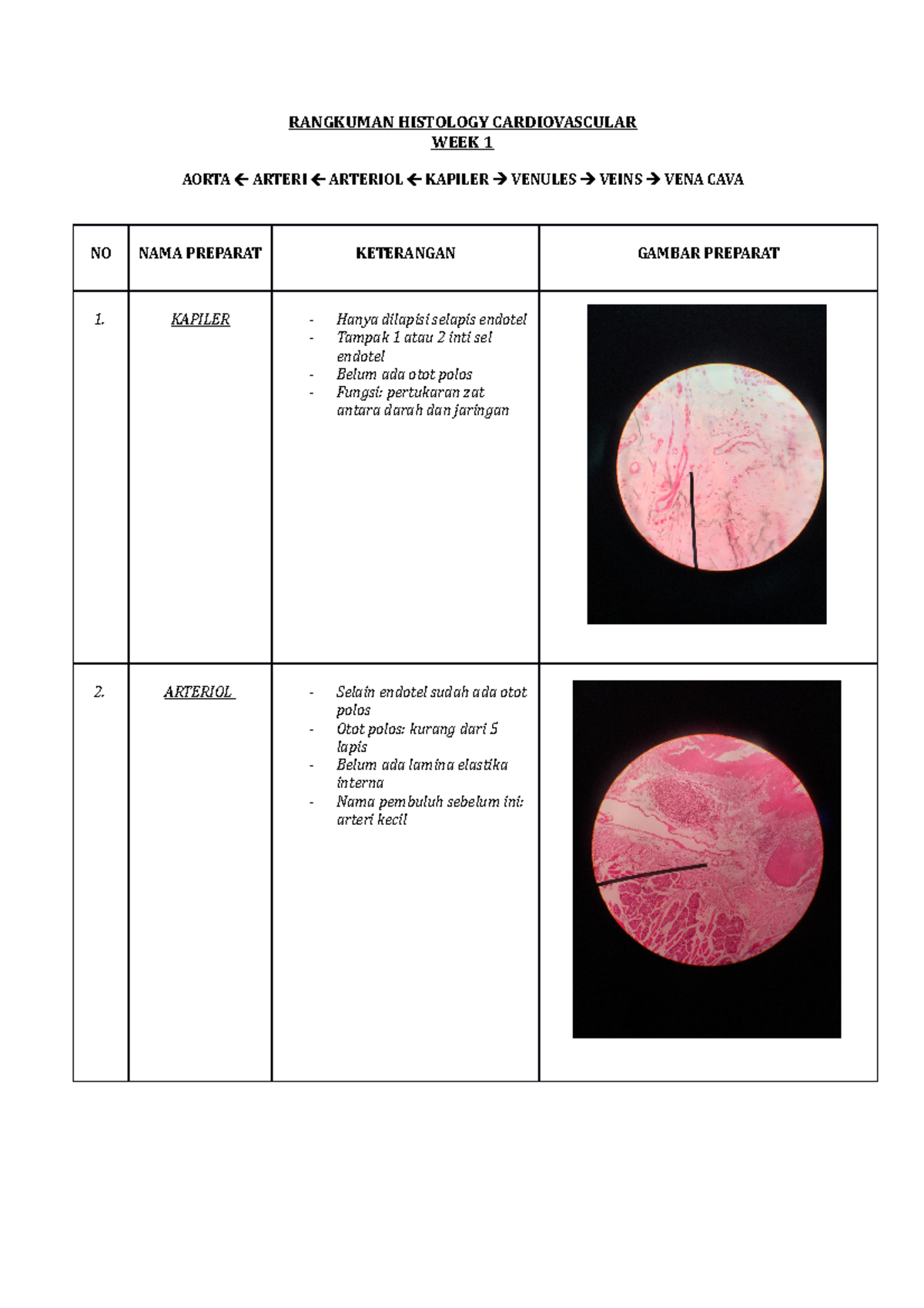 Rangkuman histology week 1 cardio - RANGKUMAN HISTOLOGY CARDIOVASCULAR ...