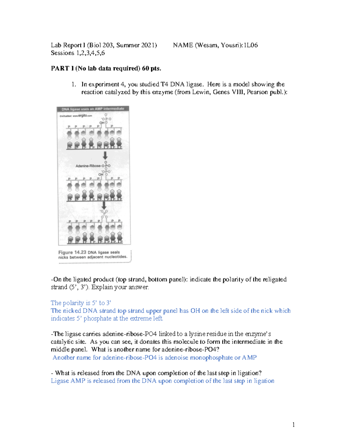 LAB REPORT 1 LAB REPORT 1 - Lab Report I (Biol 203, Summer 2021) NAME ...