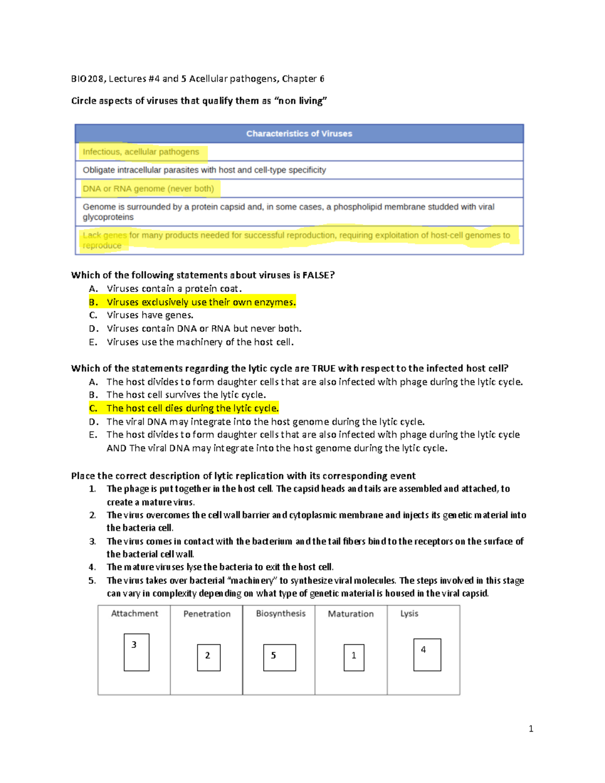Chp 6 viruses worksheet-2 - 1 BIO208, Lectures #4 and 5 Acellular ...
