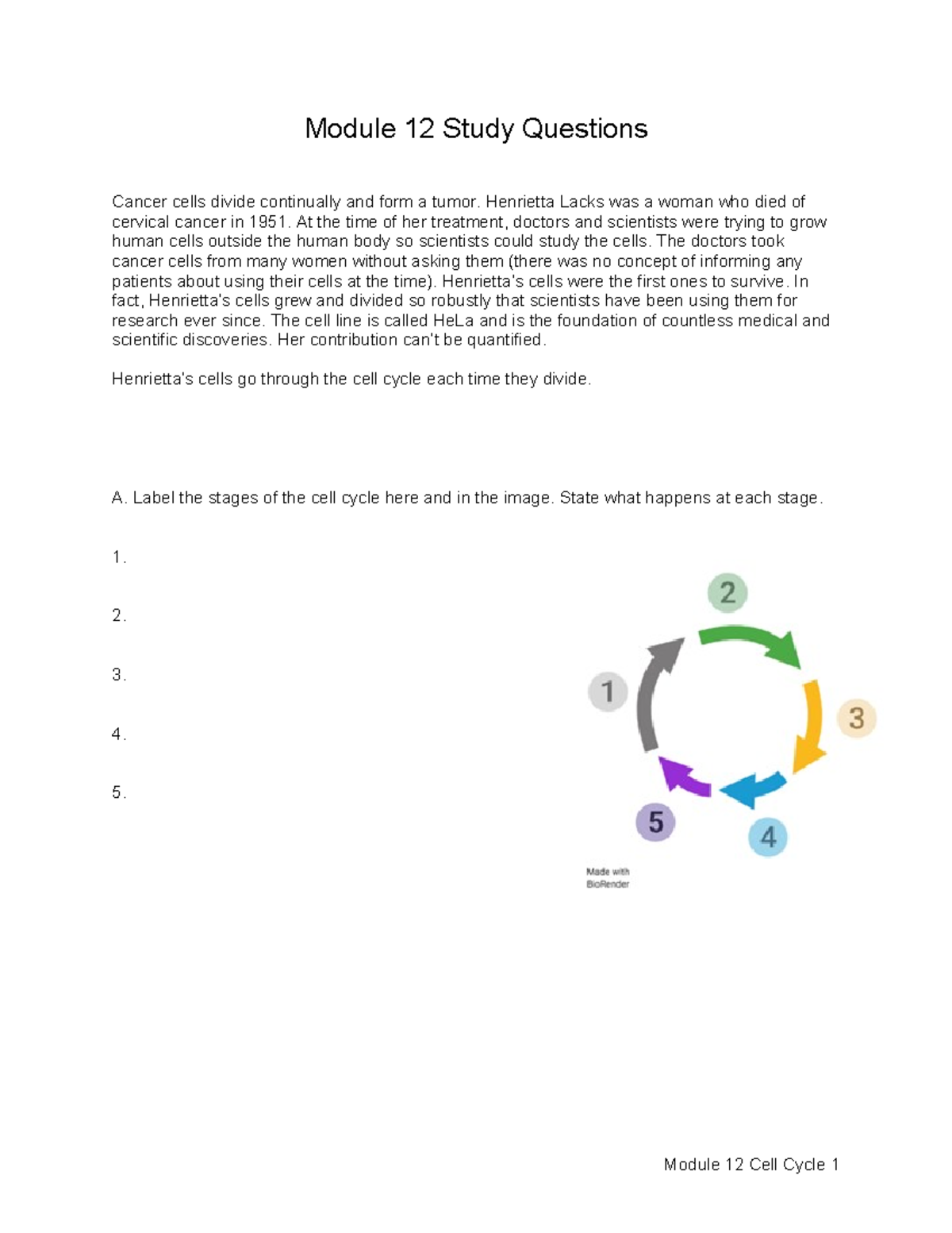 Module 12 Study Questions - Module 12 Study Questions Cancer cells ...
