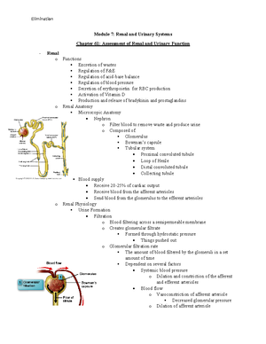 Module 10 Review Sheet - Module 10- Respiratory System Chapter 23 ...